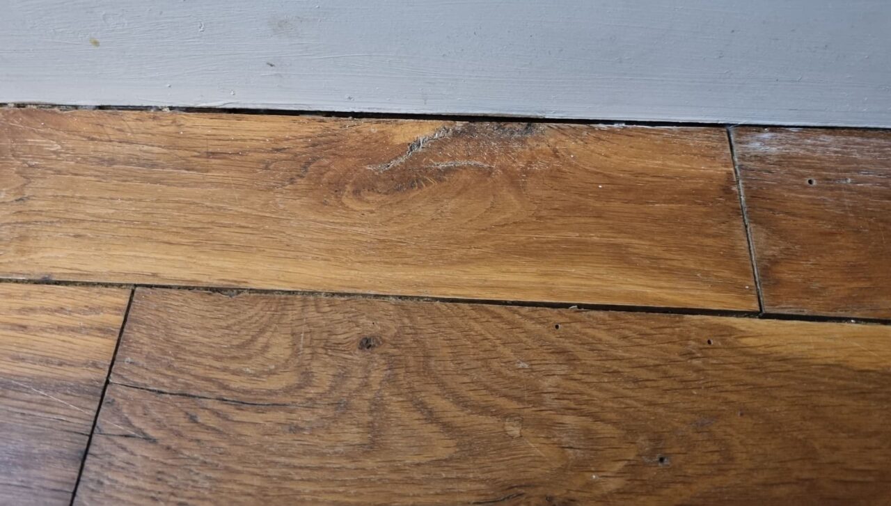 Puces de parquet puces de plancher